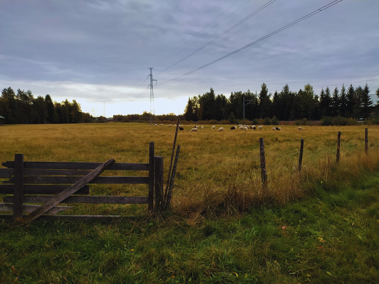 Syksyisiä lastenlauluja — kasvatusmosaiikki